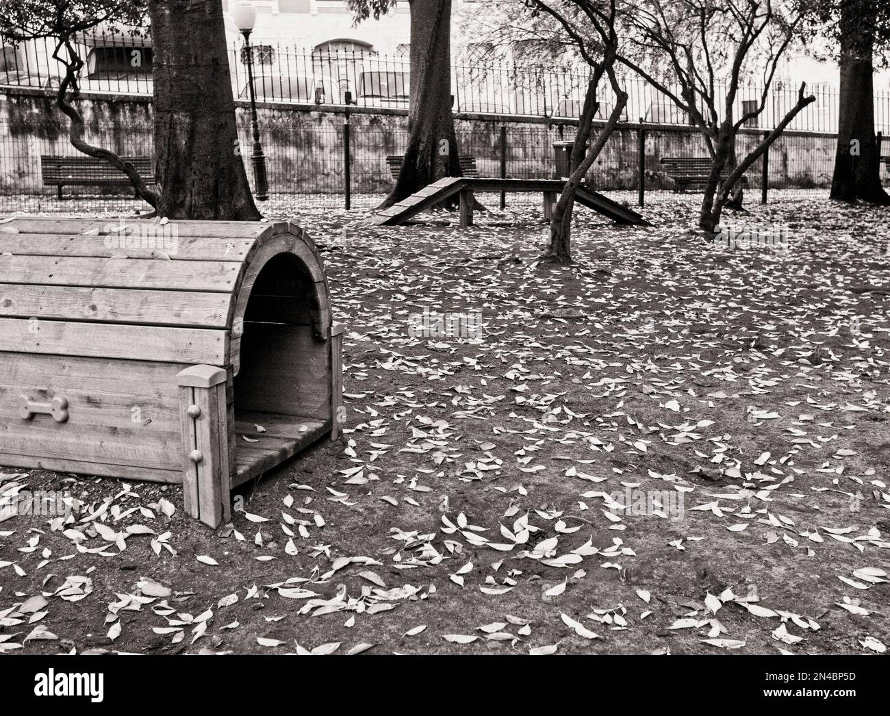 Black and white of dog park with dog playground structures in the Graca ...