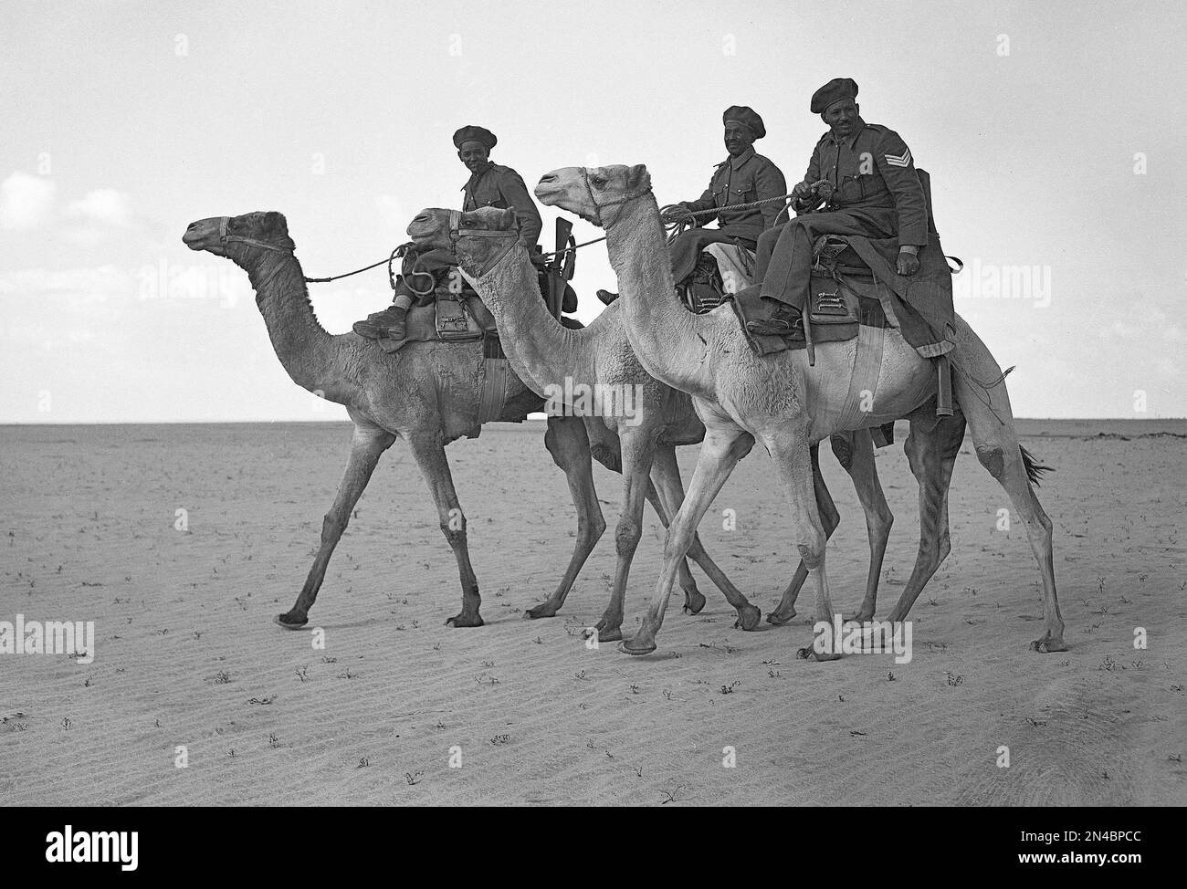 Sudanese troops of the Egyptian Army Camel Corps patrol the area of the ...