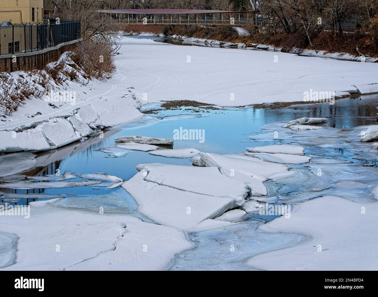 Winter Calgary Zoo Alberta Stock Photo - Alamy
