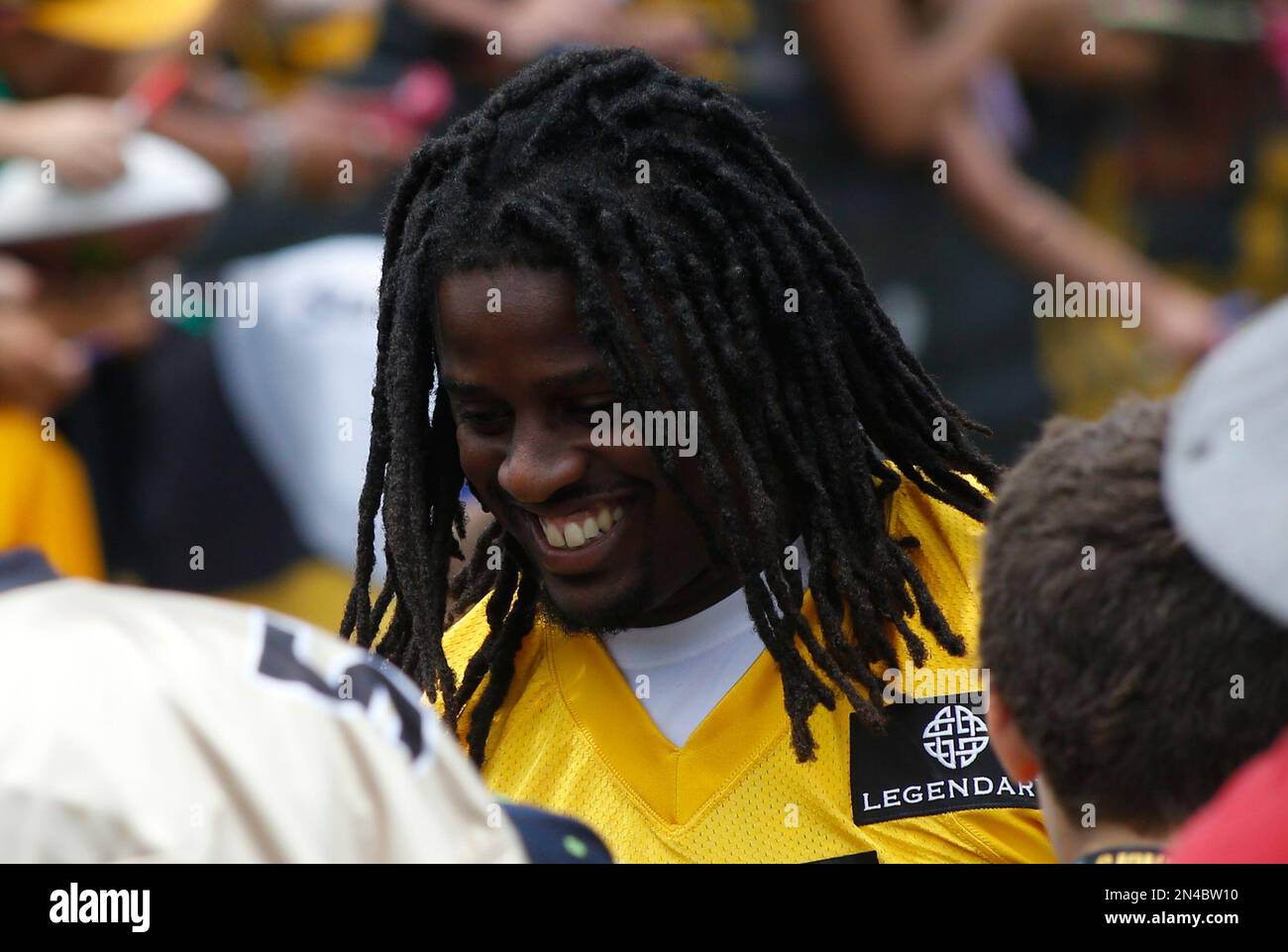 Pittsburgh Steelers linebacker Sean Spence (51) during NFL football ...