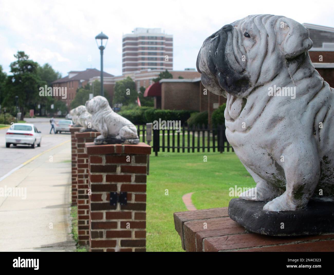 Statues of bulldogs, the mascot of South Carolina State University ...
