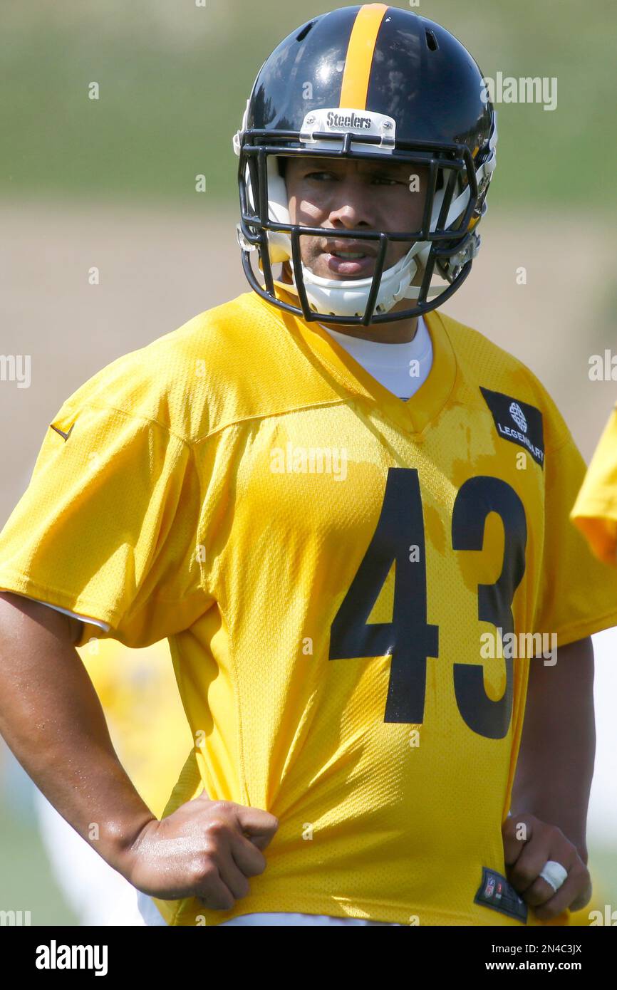 Pittsburgh Steelers strong safety Troy Polamalu (43) during the first ...