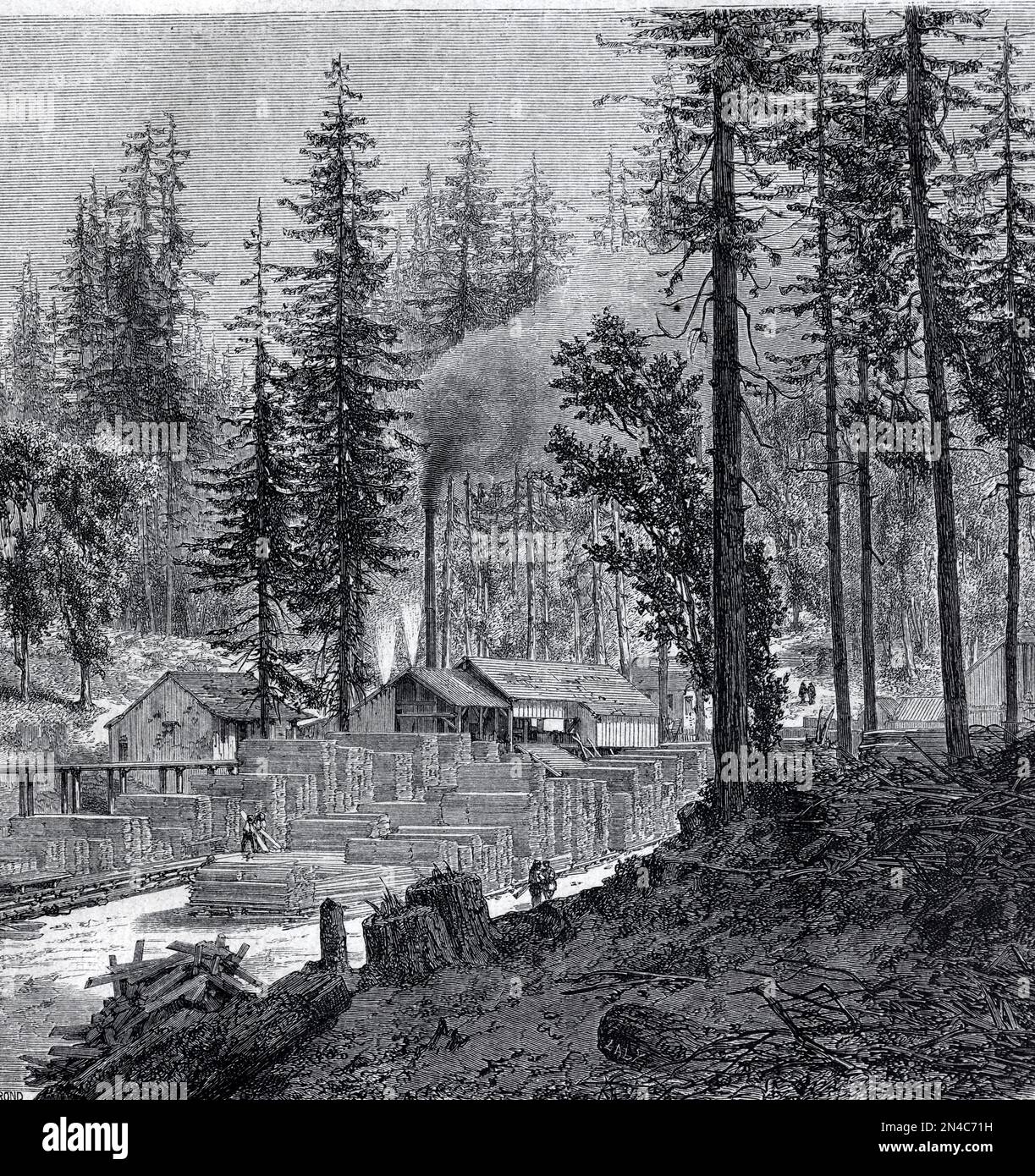 Vintage saw mill engraving hi-res stock photography and images - Alamy