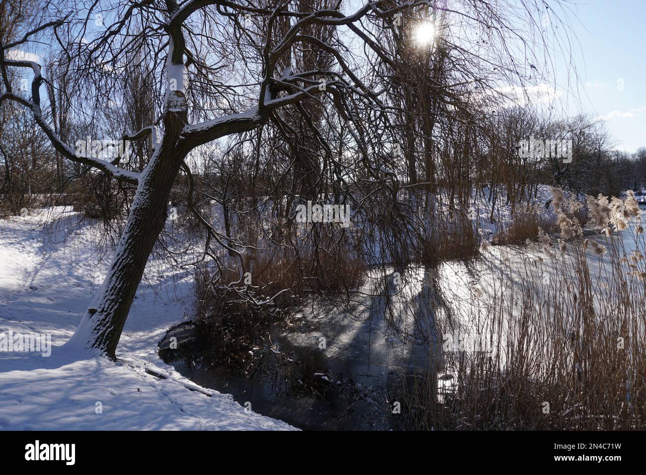 Winter in city park with sun reflecting in lake Stock Photo - Alamy