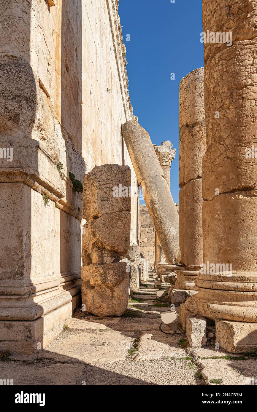 Temple of Bacchus, Baalbek, Lebanon Stock Photo - Alamy