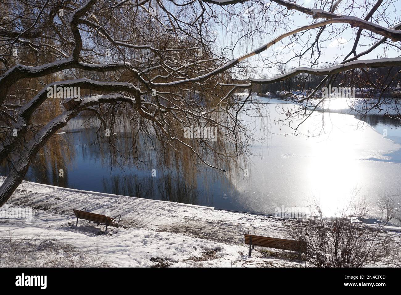 Winter in city park with sun reflecting in lake Stock Photo - Alamy