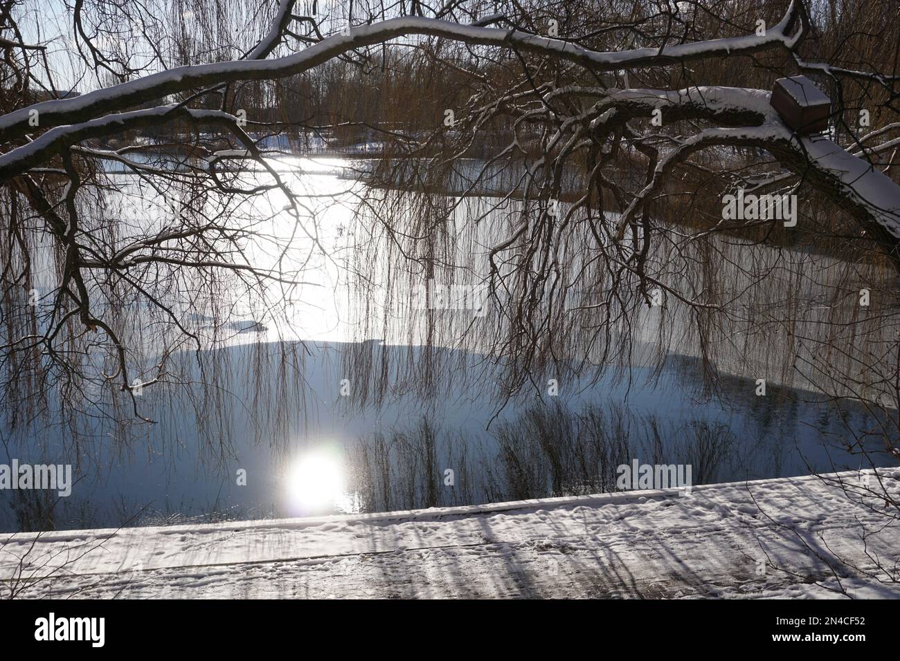 Winter in city park with sun reflecting in lake Stock Photo - Alamy