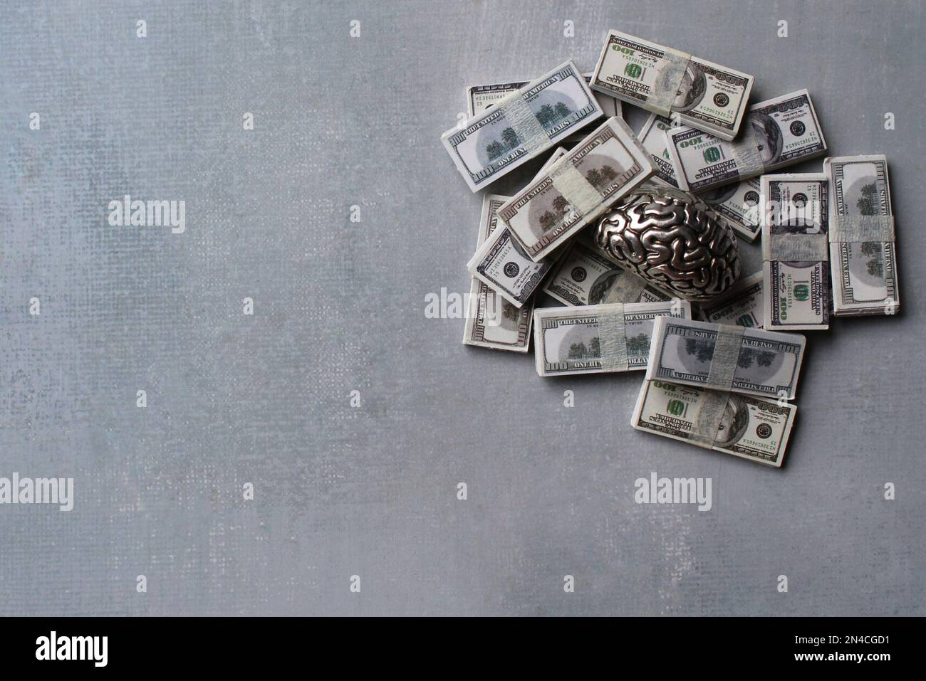 Money and brain with copy space for text. Business and finance concept ...