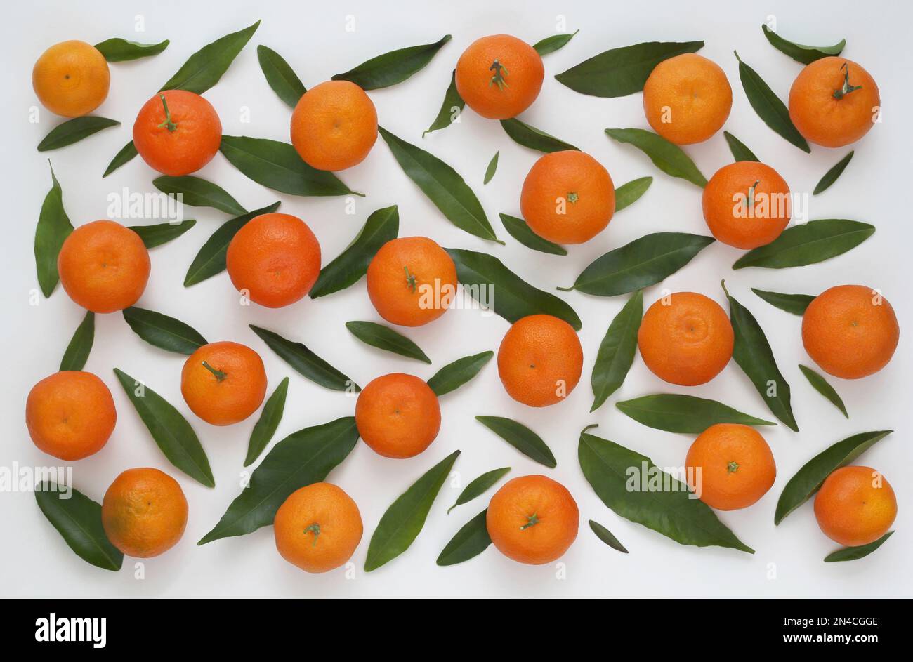 Fruit pattern from fresh mandarin and leaves on white background, top ...