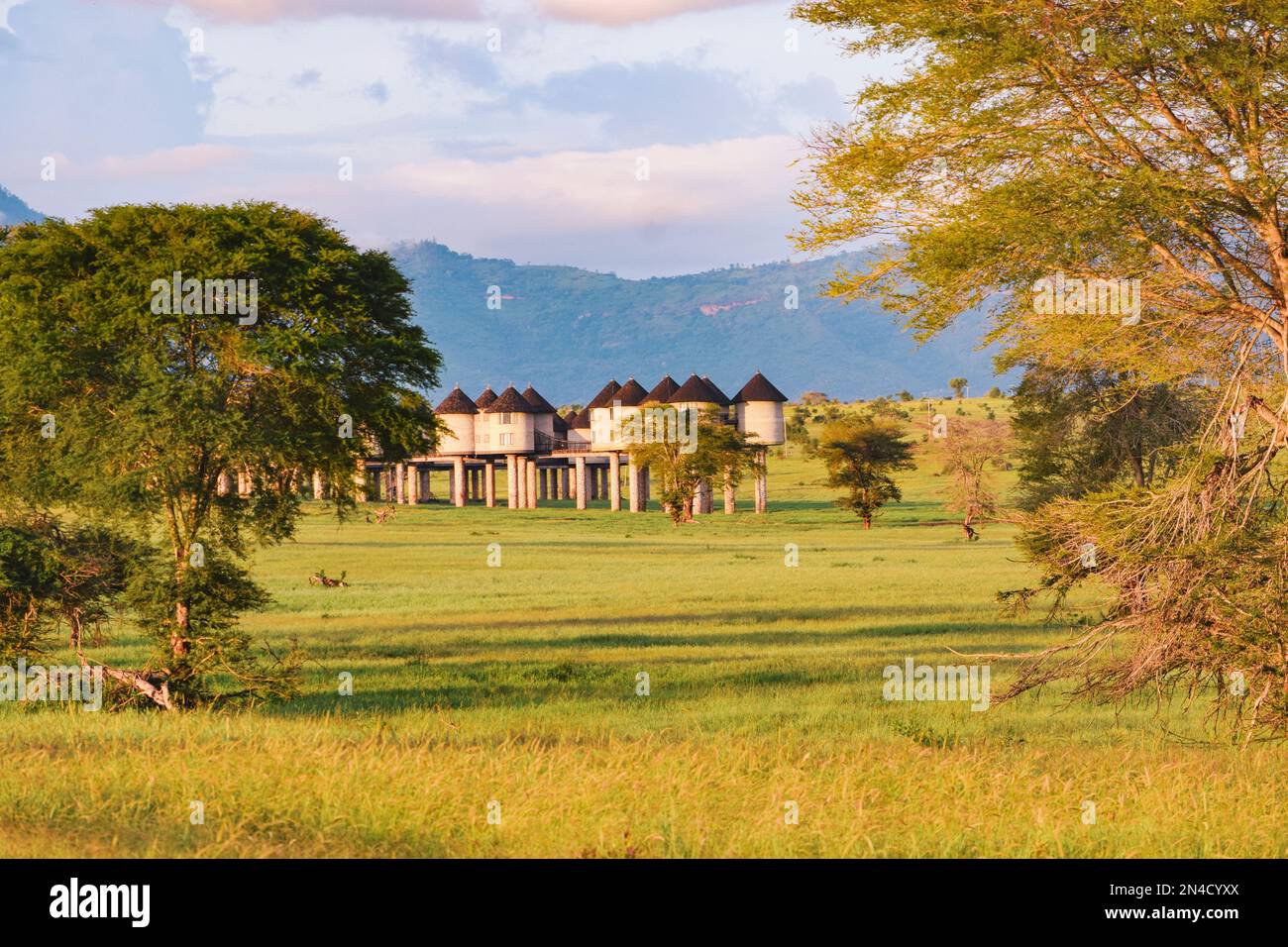 Scenic view of Sarova Salt Lick in Tsavo National Park, Kenya Stock ...