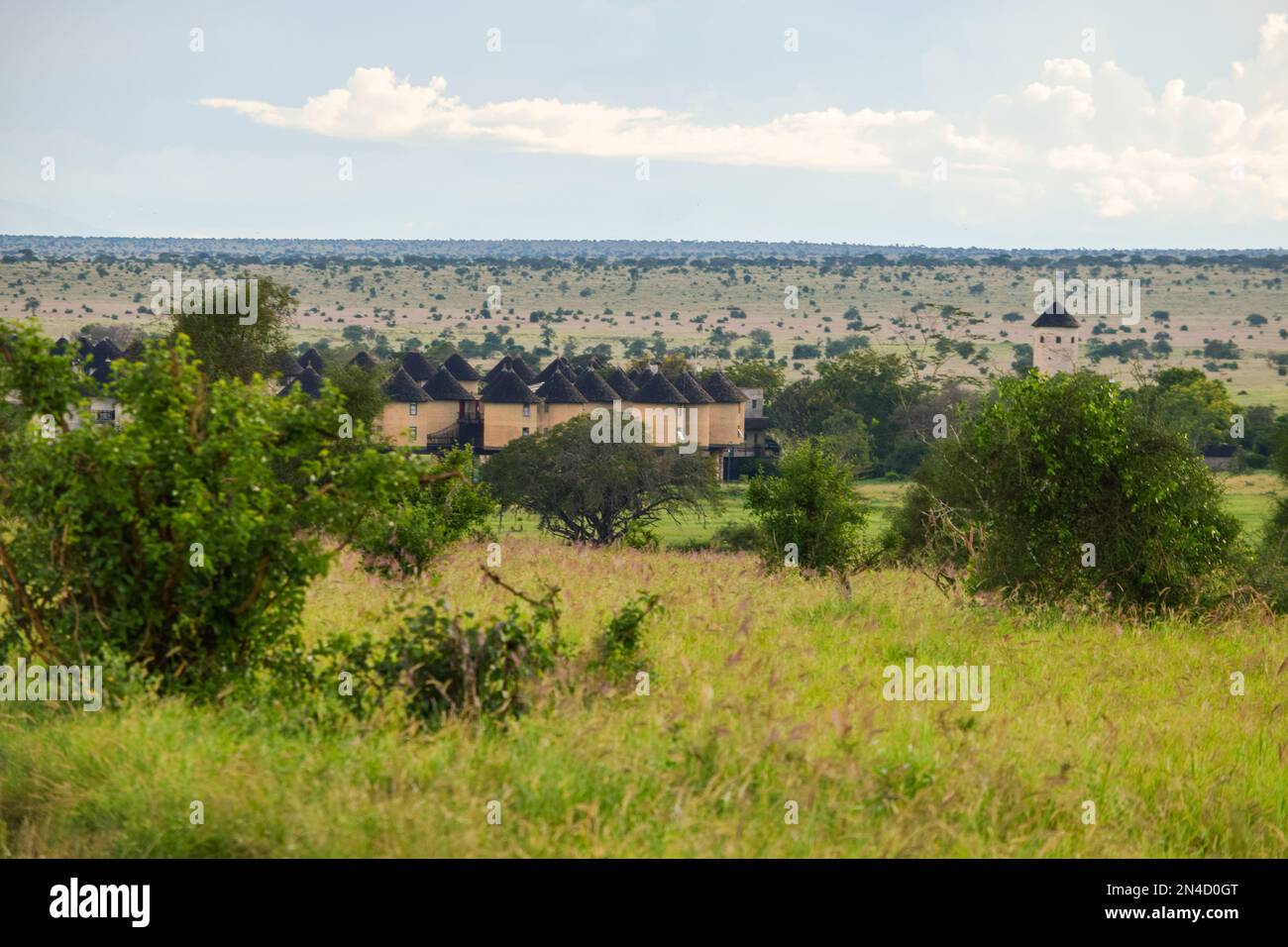 Scenic view of Sarova Salt Lick in Tsavo National Park, Kenya Stock ...