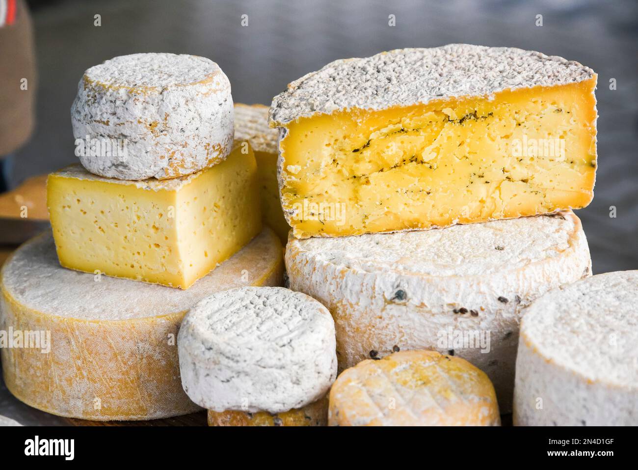 Different types of cheeses sold in the market Stock Photo - Alamy