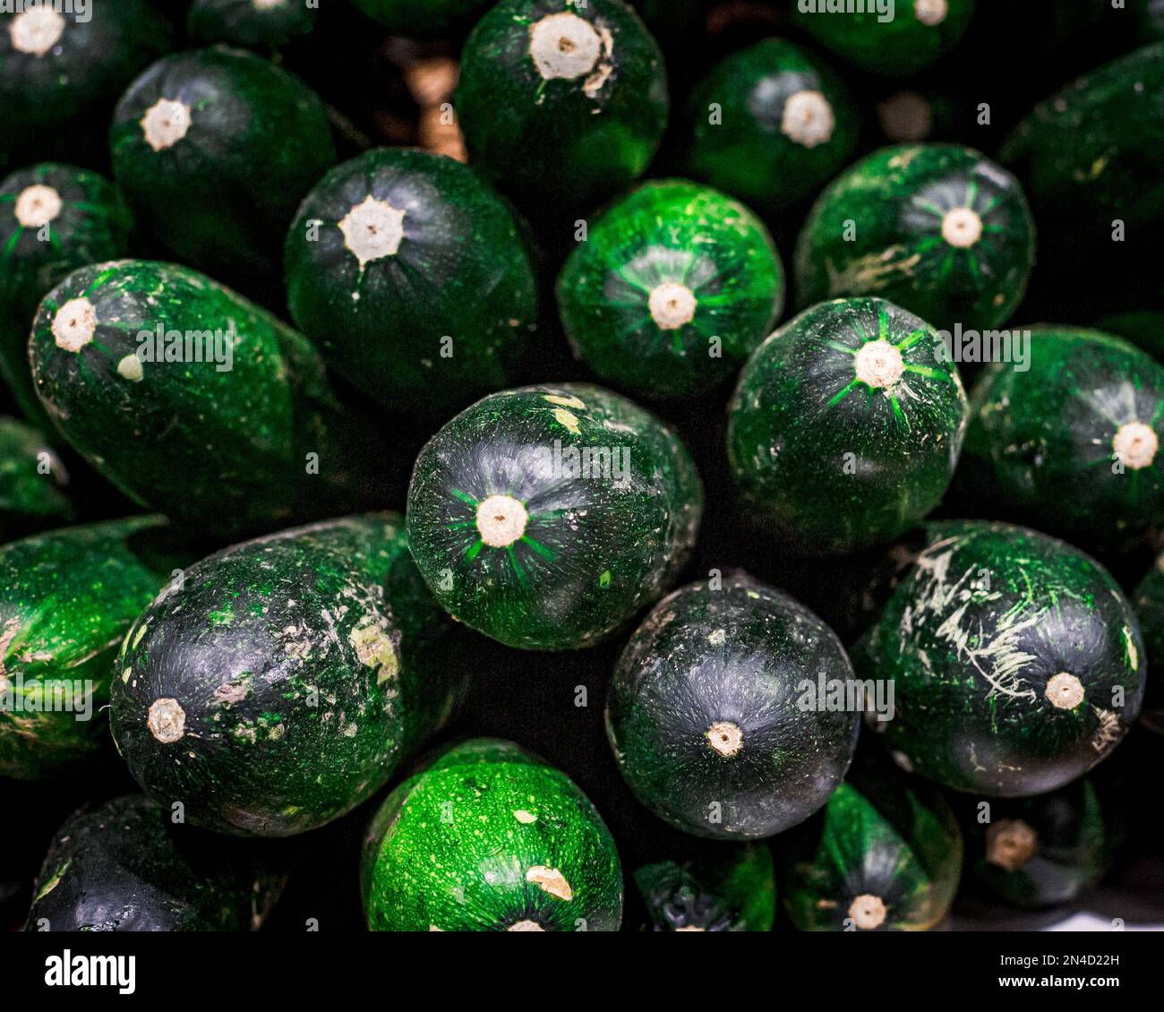 Baby courgettes plant hi-res stock photography and images - Alamy