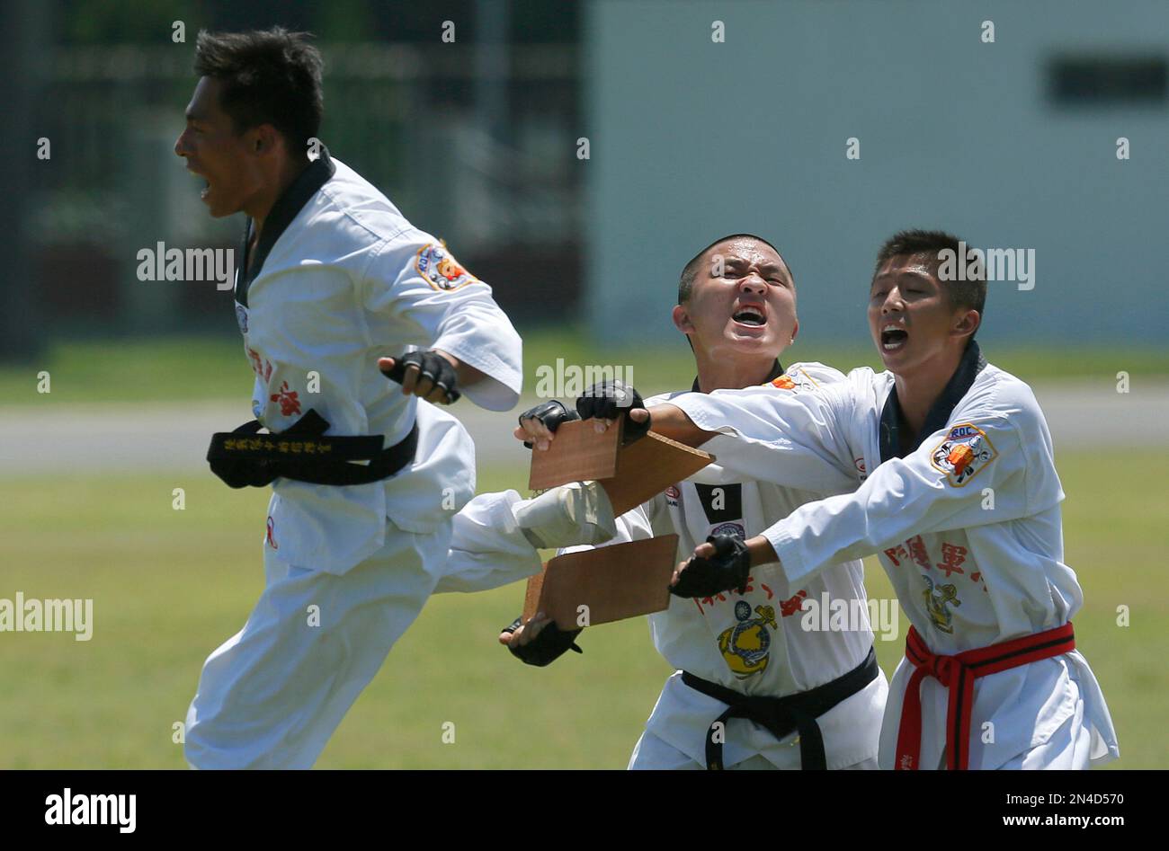 Taiwan Marine Corps display martial arts techniques during a tour at ...