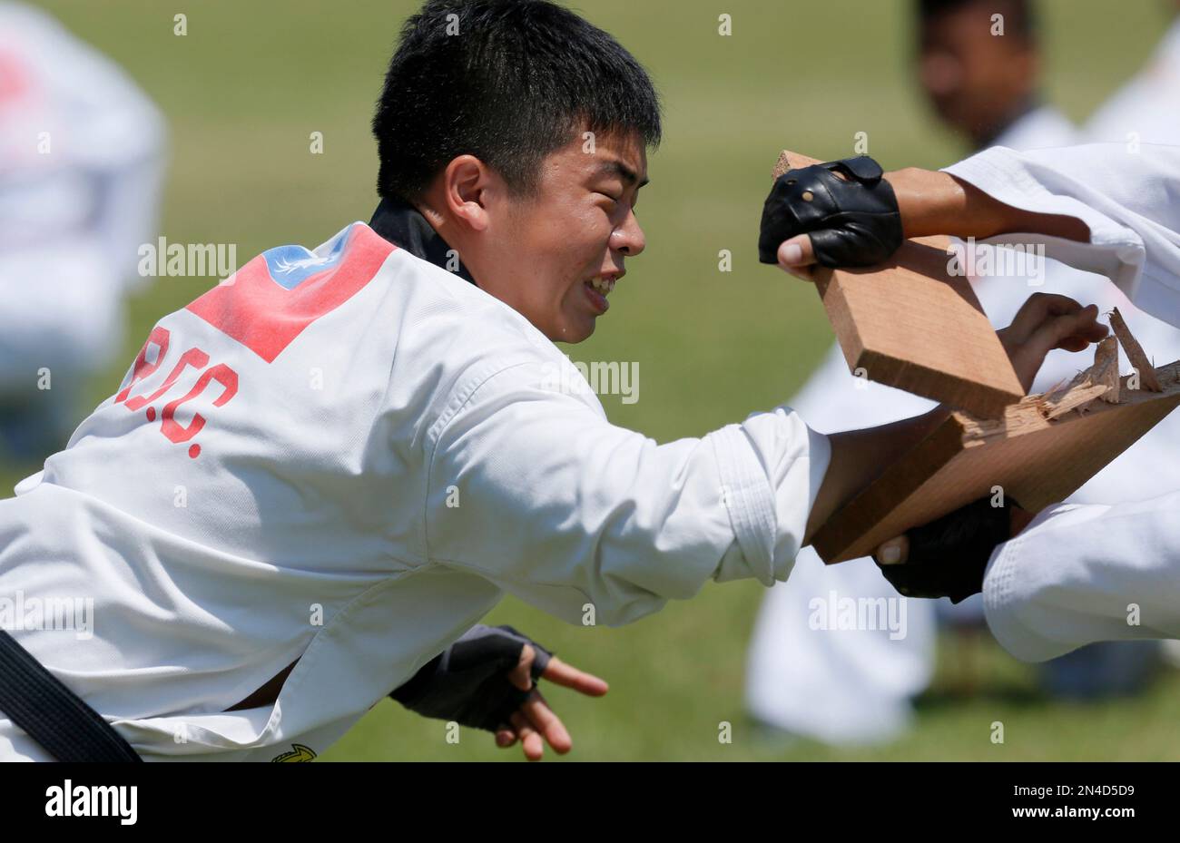 Taiwan Marine Corps display martial art techniques during a tour at the ...