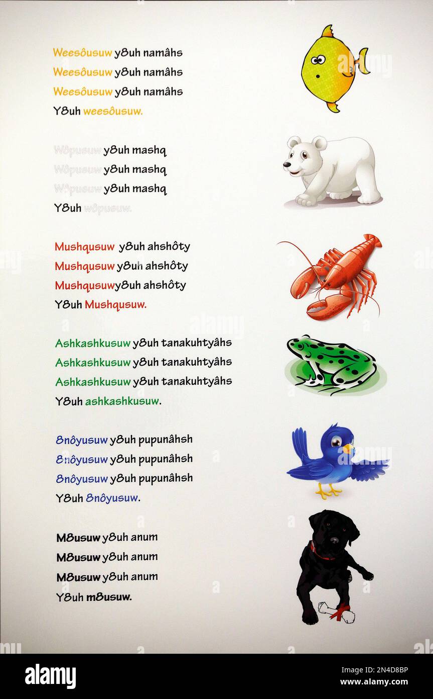 In this Thursday, May 29, 2014 photo, a Mashpee Wampanoag language vocabulary chart is seen in ...