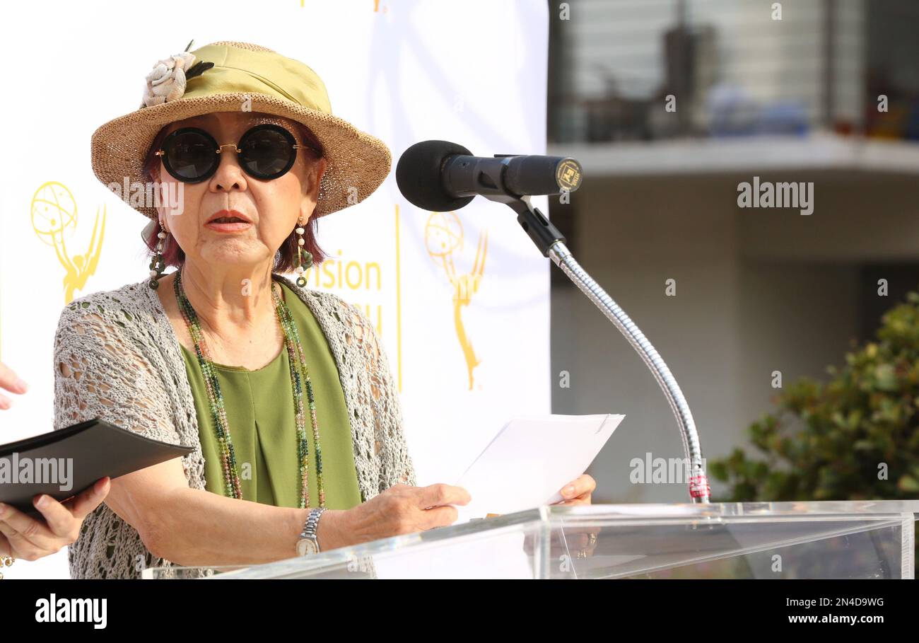 Mary Rose, guest curator and Television Academy governor, seen at the ...