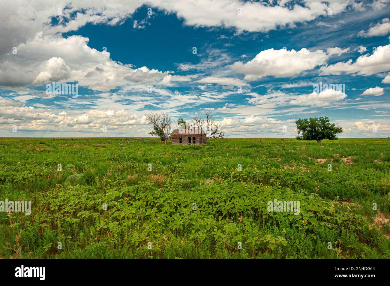 The landscape of eastern Colorado with old abandoned homestead beneath ...
