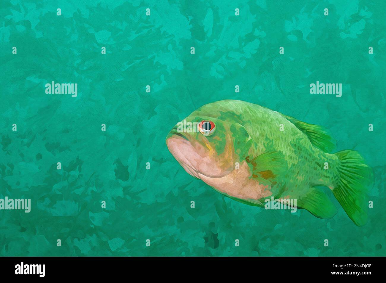 Digitally created watercolor painting of a largemouth bass with red ...