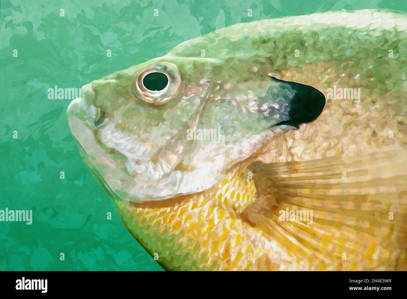 Digitally created watercolor painting of an extreme close-up of the ...