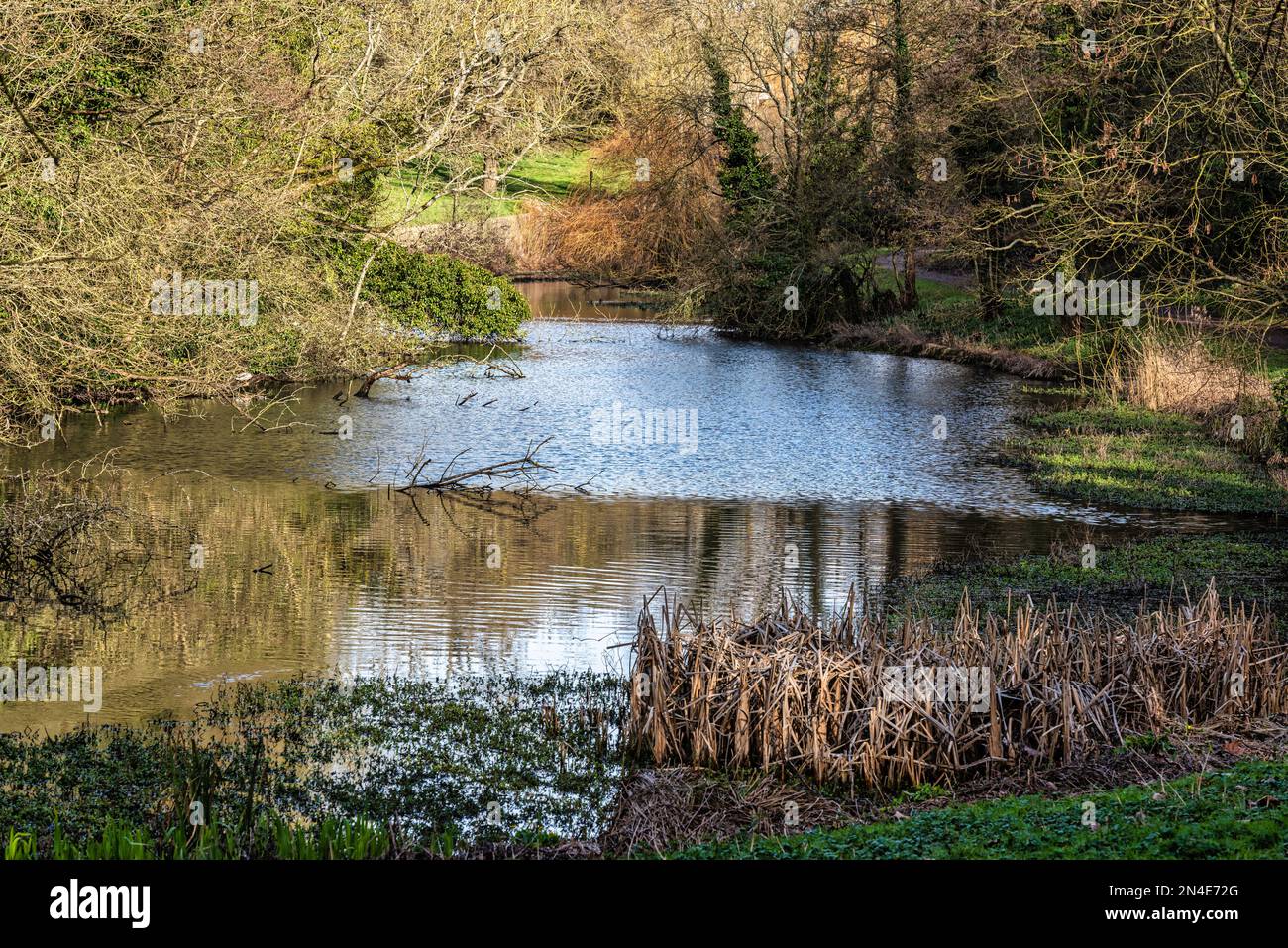 Lake in the Manor Park Country Park in West Malling near Maidstone in ...