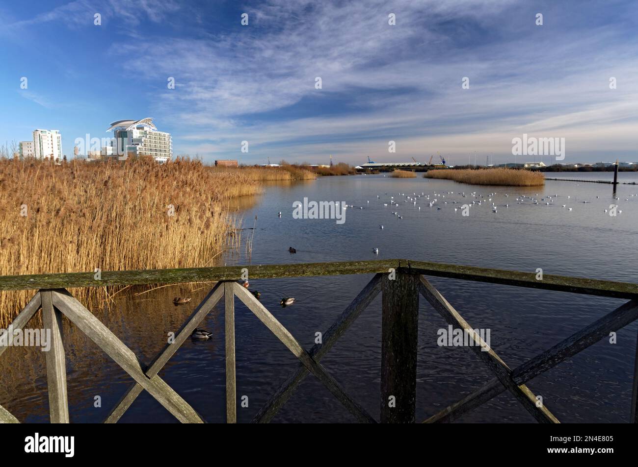 Cardiff Bay Wetlands Nature Reserve, Cardiff Bay, South Wales, UK Stock ...
