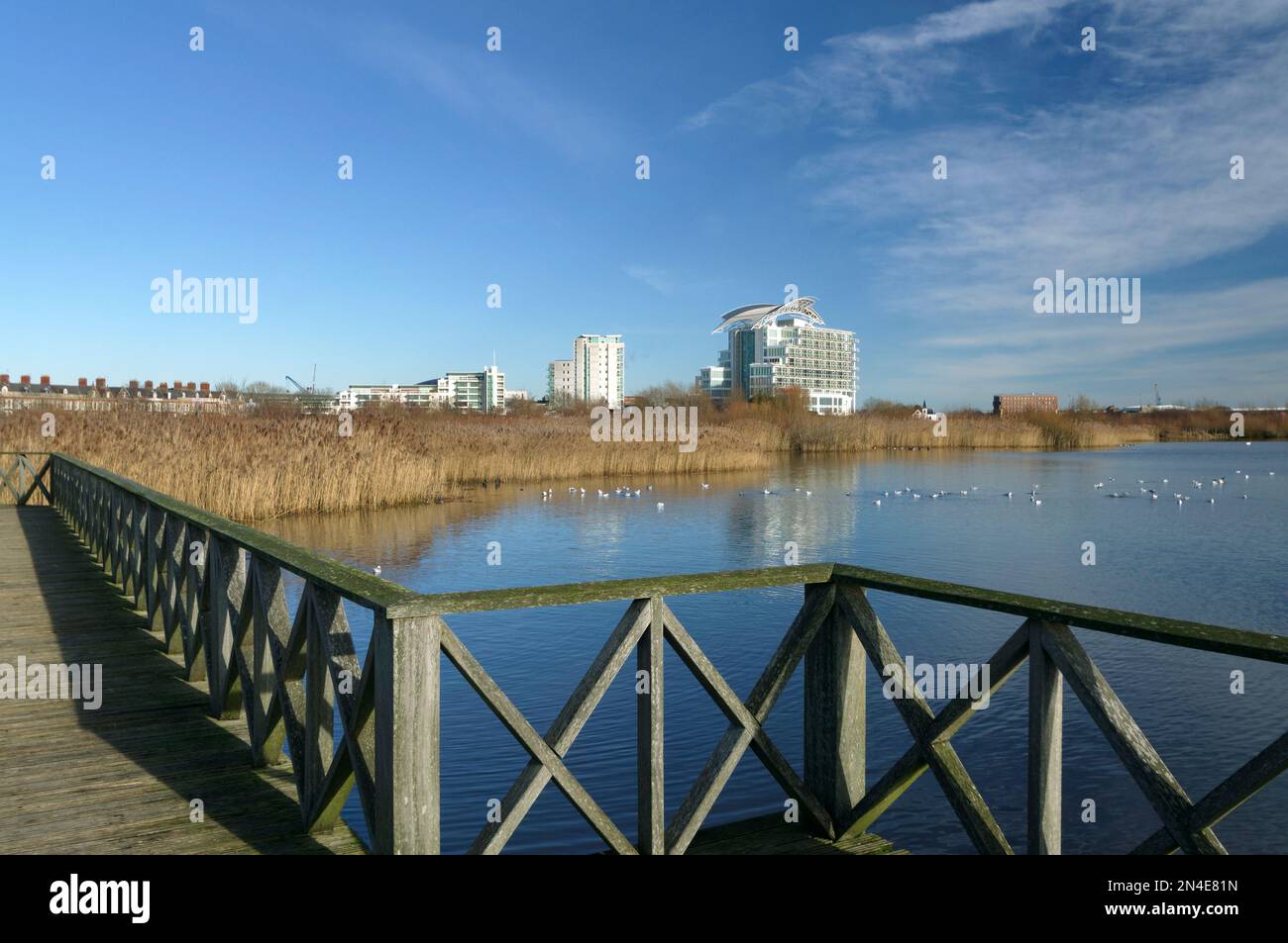 Cardiff Bay Wetlands Nature Reserve, Cardiff Bay, South Wales, UK Stock ...