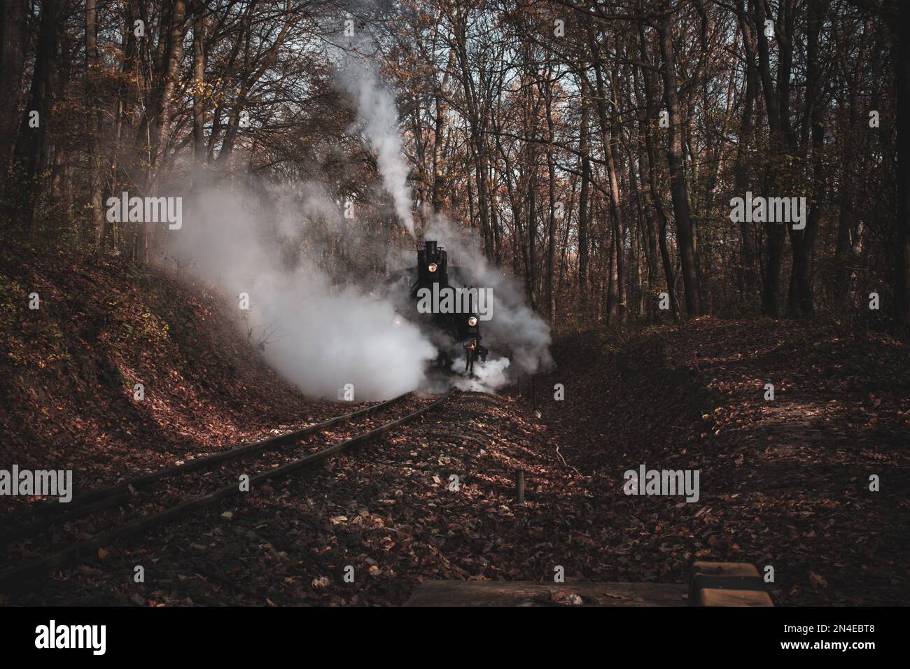 Locomotive in autumn forest Stock Photo - Alamy
