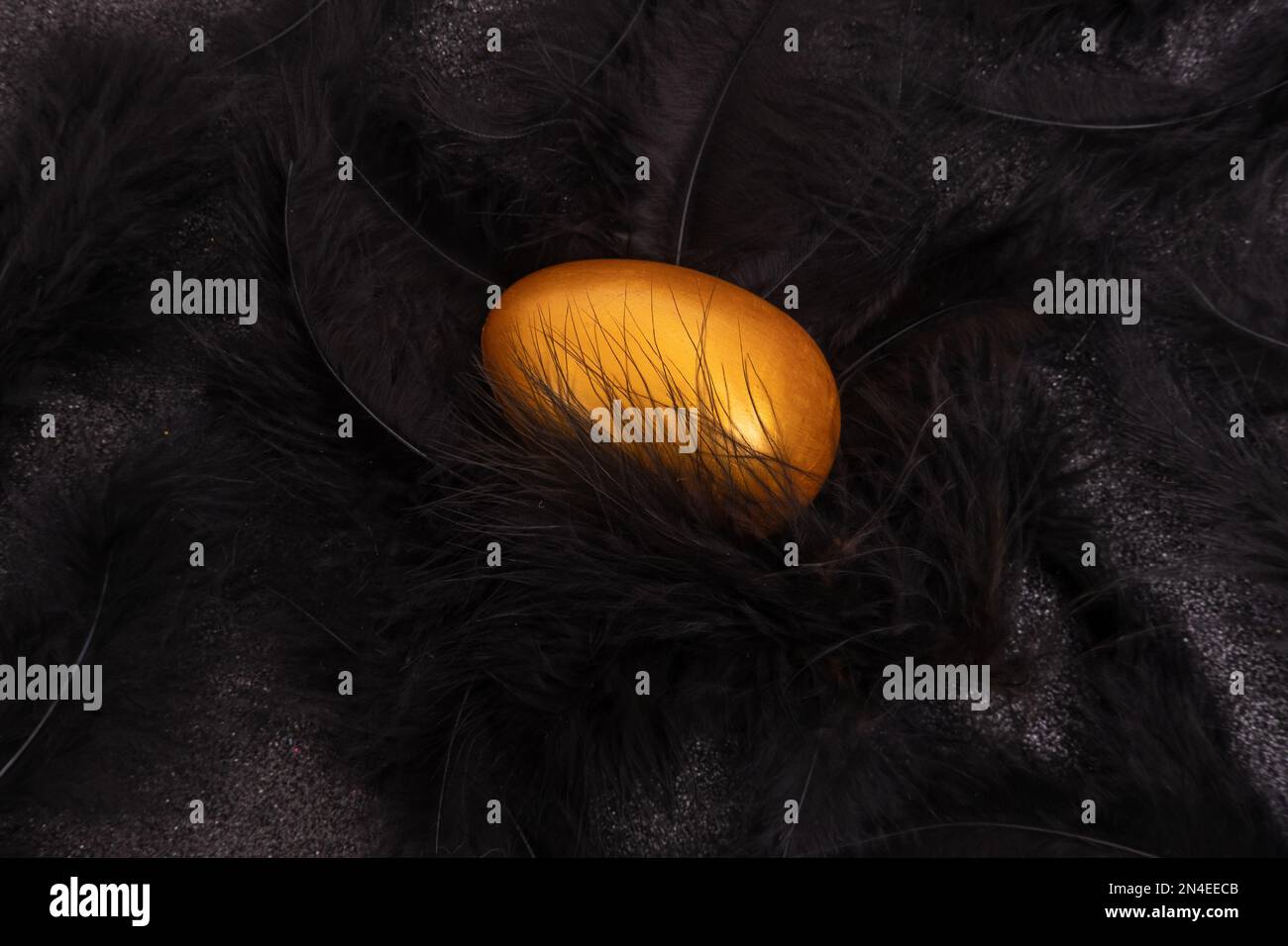Abstract trendy background of fluffy black feathers with golden egg ...