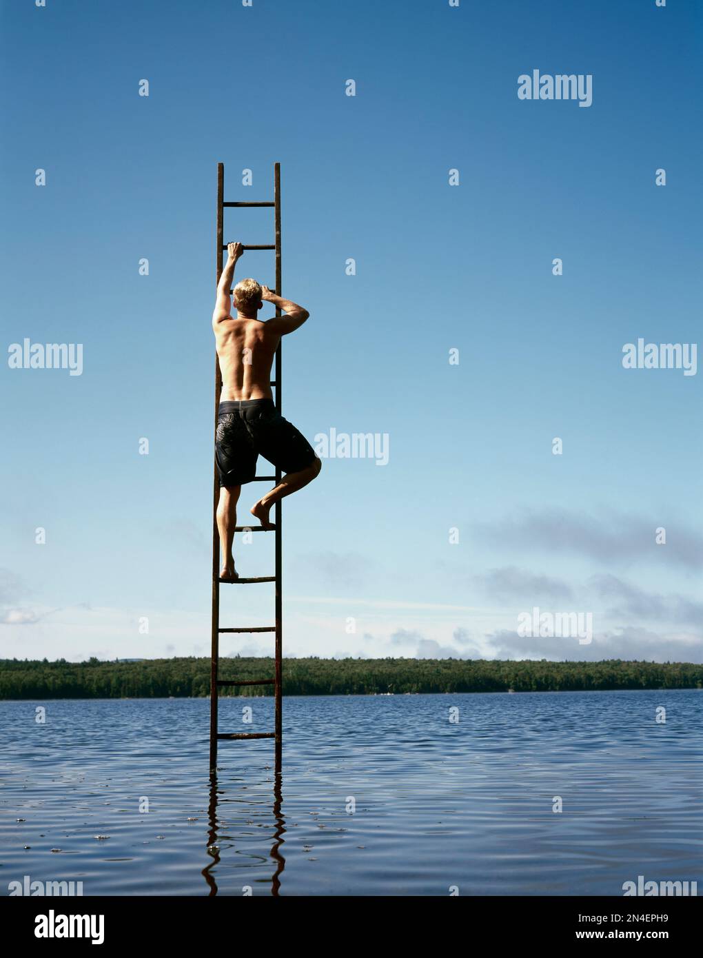 Rear View of Mid-Adult Man climbing Ladder in middle of Lake Stock ...