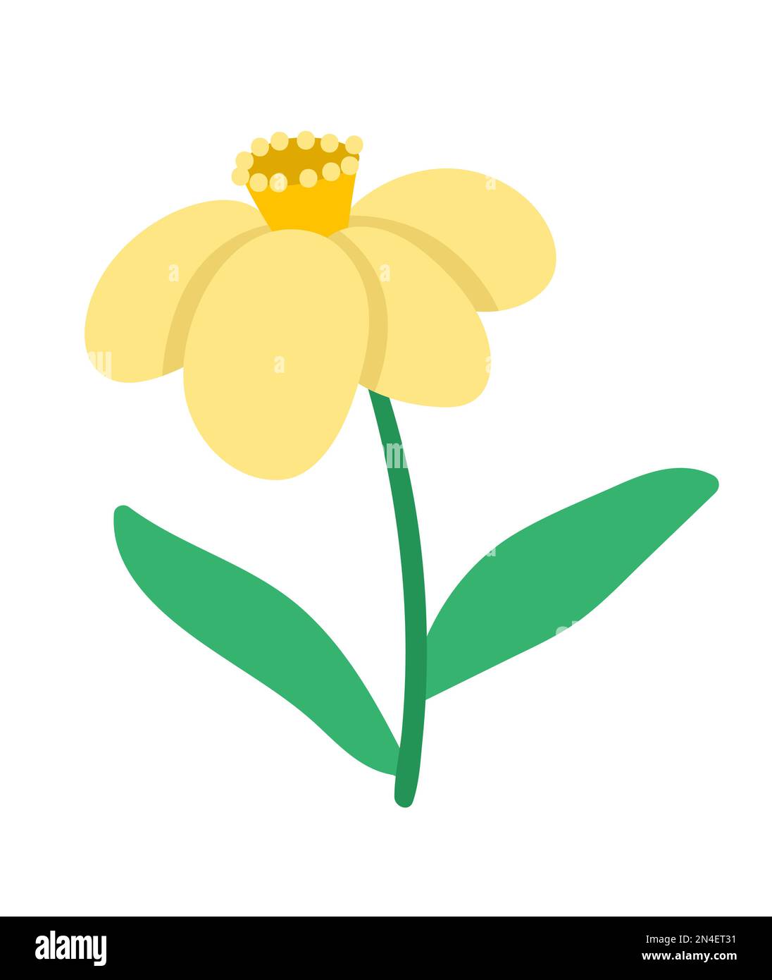 Narcissus Flower Clipart Narcissus Flower Clipart