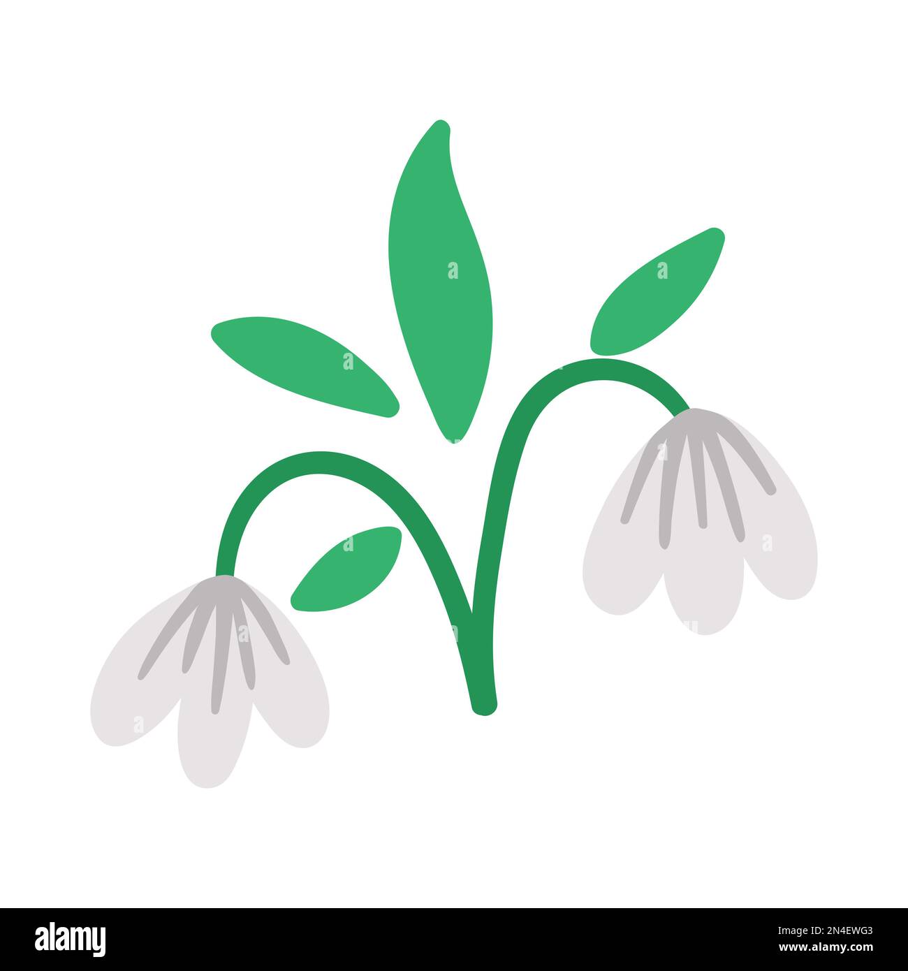 Vector snowdrops icon. First blooming plants illustration. Floral clip ...