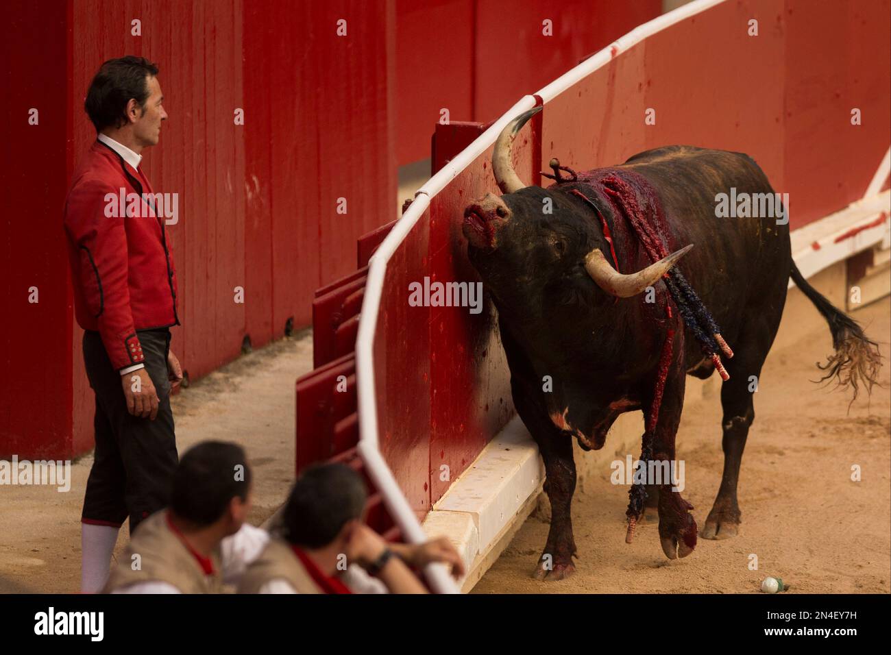 A Dolores Aguirre ranch fighting bull agonizes walking with a sword ...