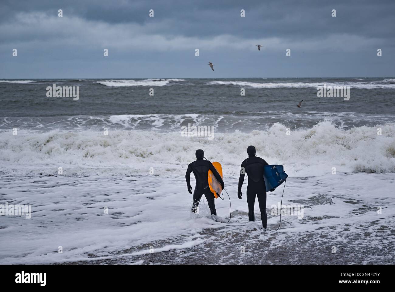 29 January 2023, Denmark, Vorupör: Surfers stand in the waves of the ...