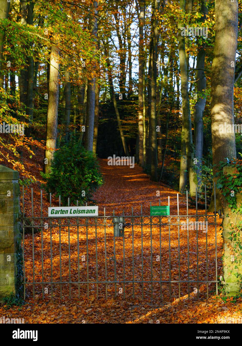 Wunderbar Deitert Suhre Ibbenburen Fotos