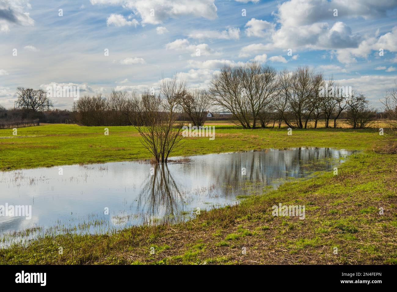 A waterlogged field after heavy rains with trees reflected in the water ...