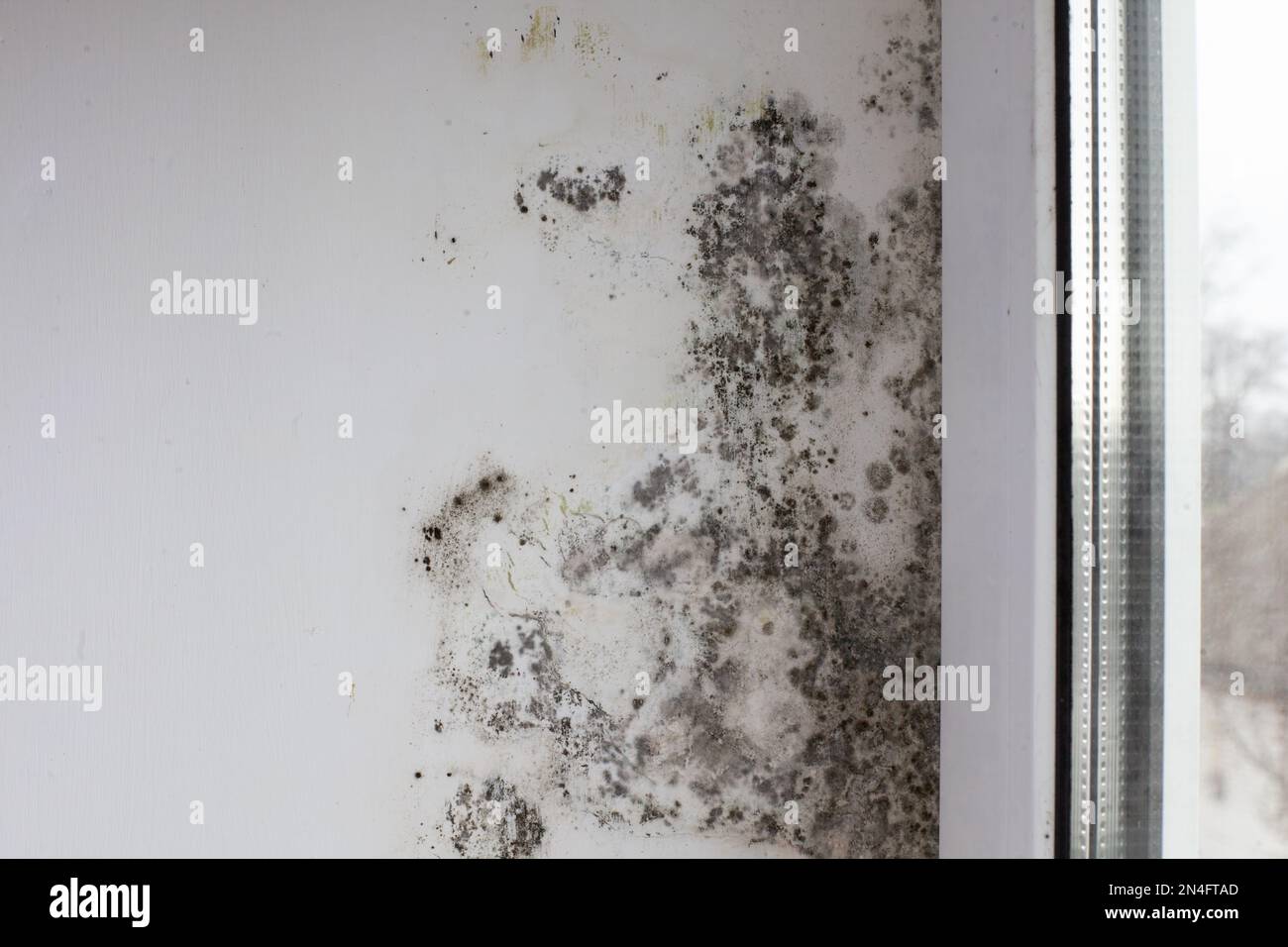 Mold on the slopes near the window made of metal-plastic construction ...