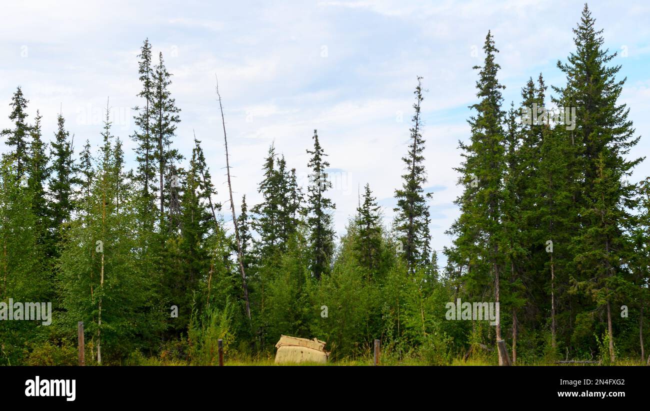 Taiga russia cabin hi-res stock photography and images - Alamy