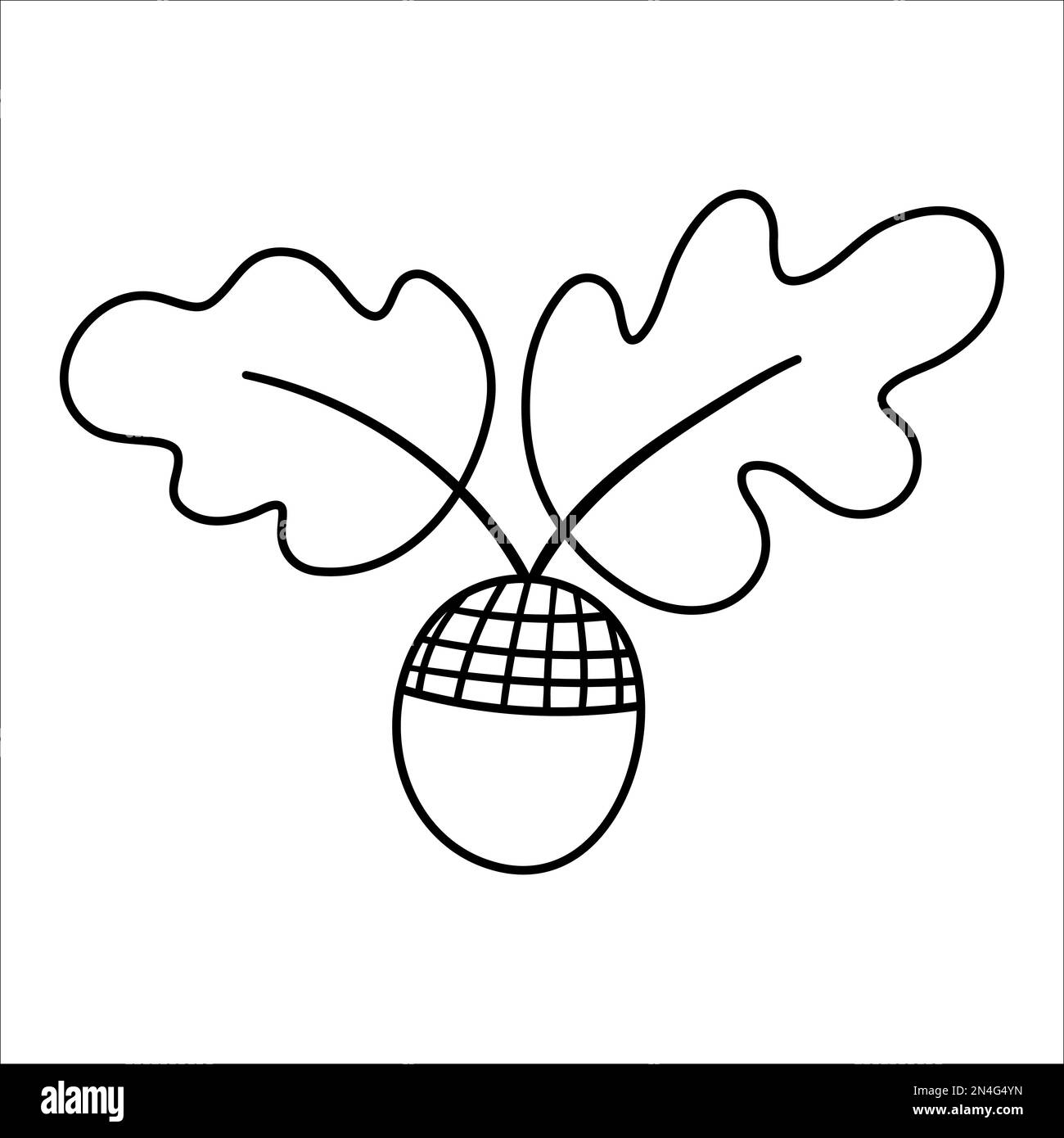 Oak Leaf And Acorn Outline Oak Leaves And Acorn Oak Leaves And Acorn