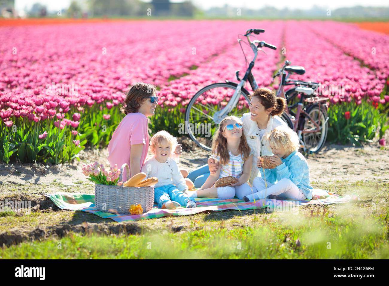Family picnic at tulip flowers fields in Holland. Young mother and ...