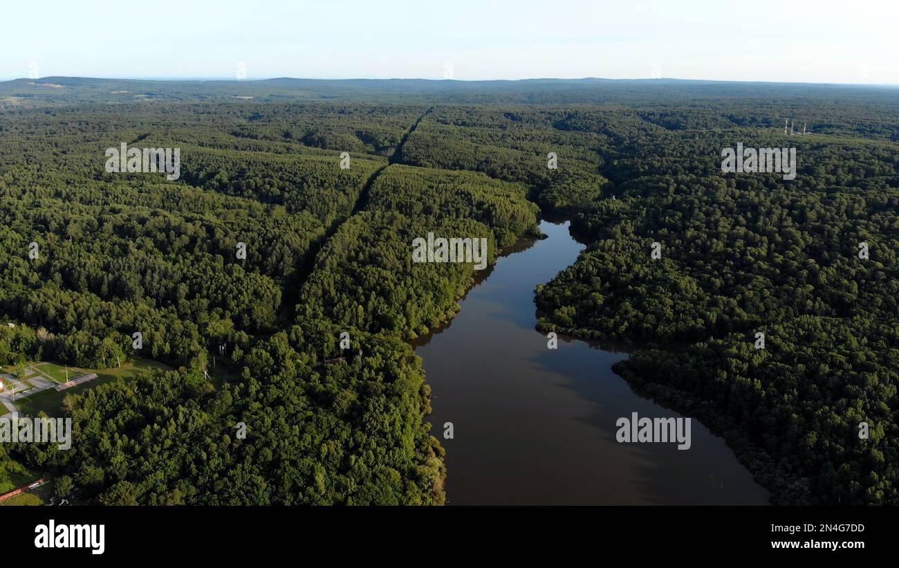 Khabarovsk forest russia hi-res stock photography and images - Alamy