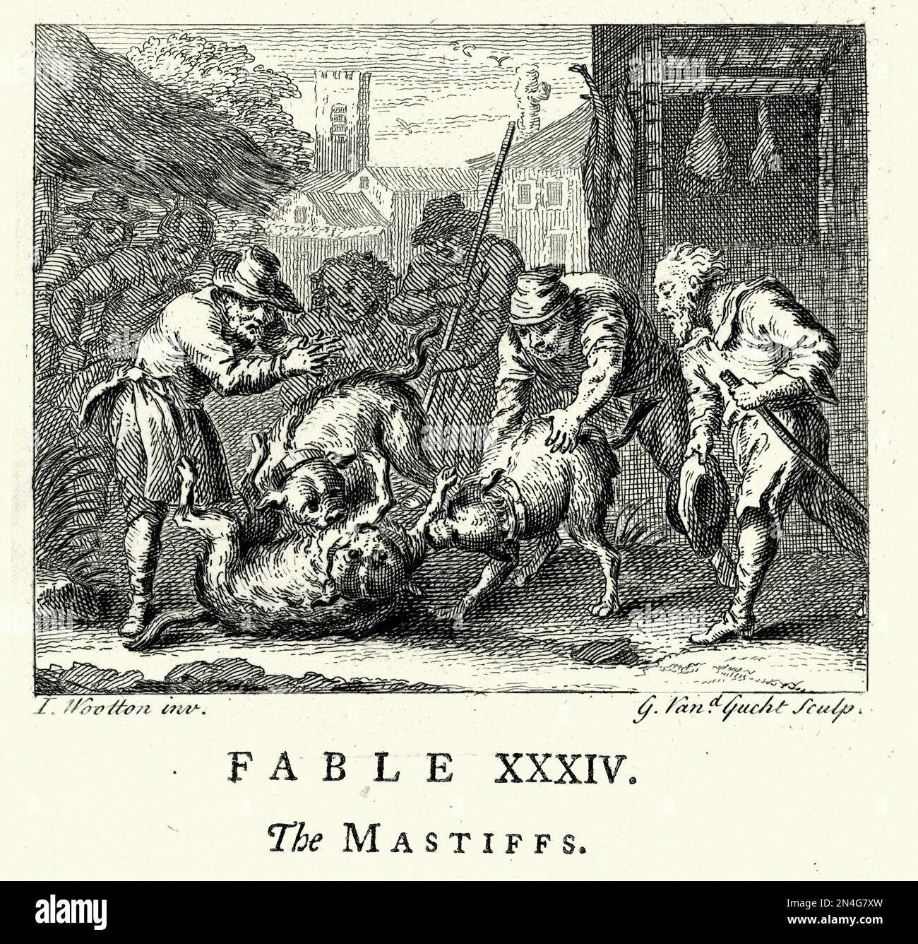 Vintage engraving the Mastiffs, Dogs fighting in the street outside ...