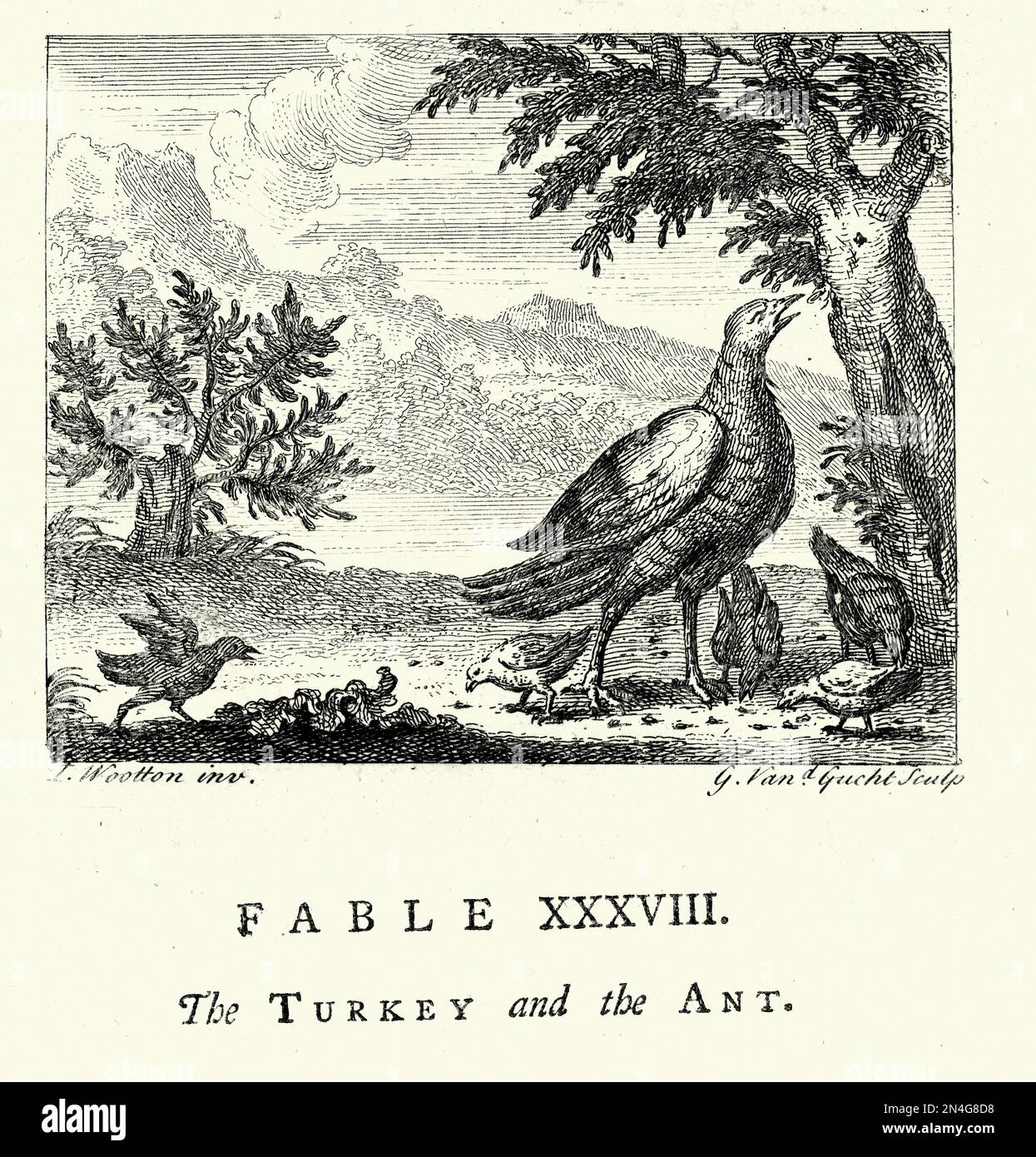 Vintage engraving the Turkey and the Ant, From the Fables of John Gay ...