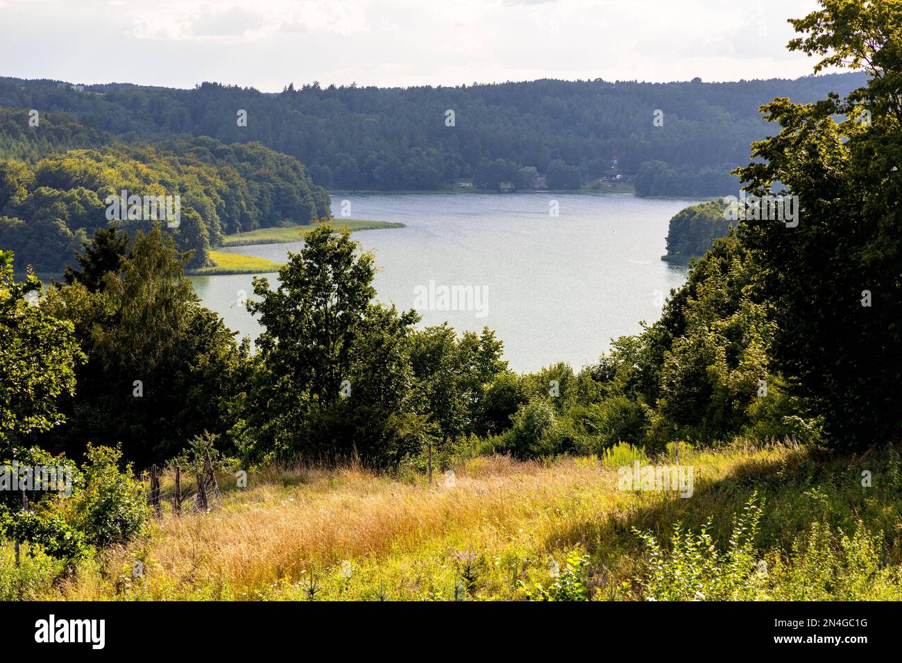 Panoramic view of Jezioro Ostrzyckie lake with shores of forest seen ...