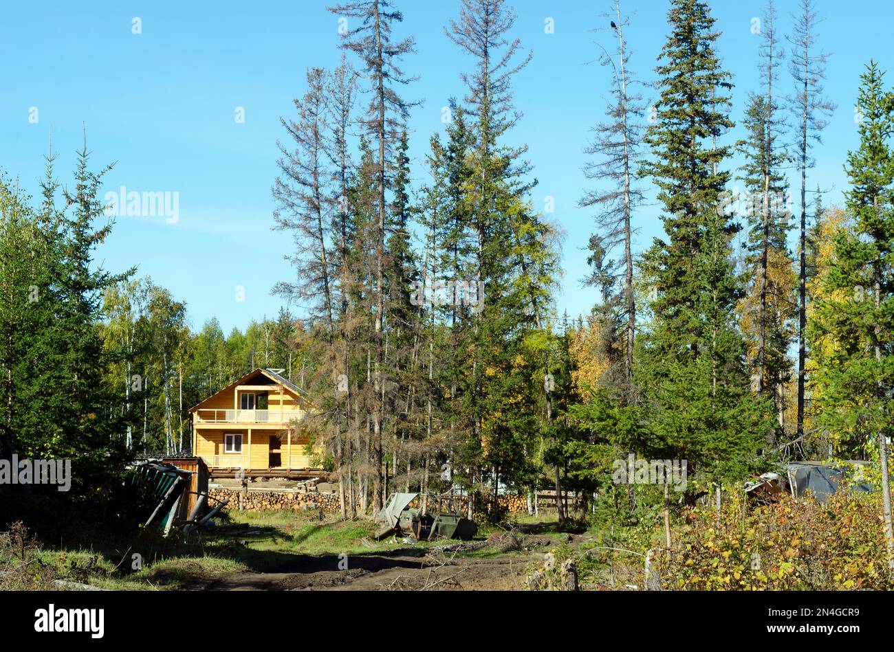 New private residential building stands unfinished among the spruce ...