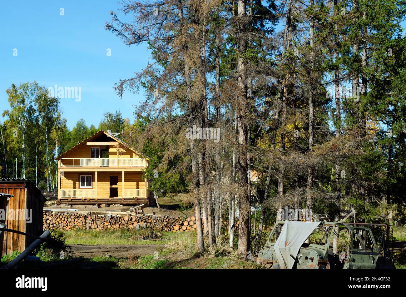 A new private cottage of yellow pine logs stands among spruce forests ...
