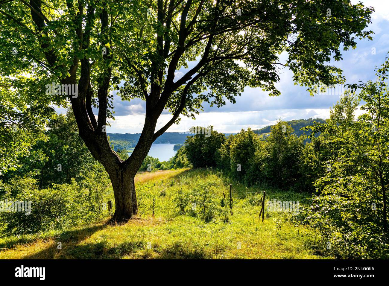 Panoramic view of Jezioro Ostrzyckie lake with shores of forest seen ...