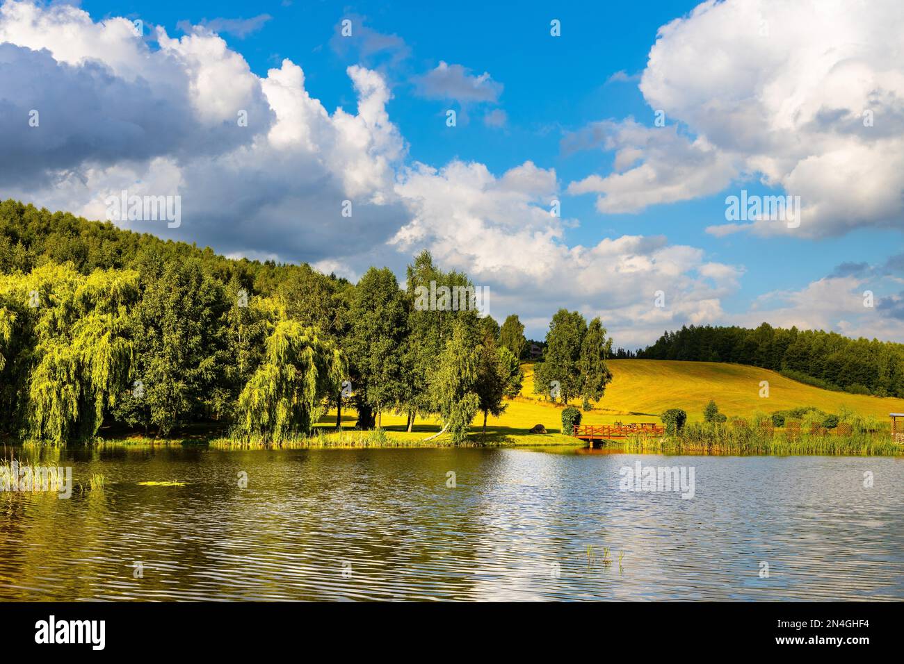 Panoramic view of Jezioro Wegleszynskie lake with wooded shores and ...