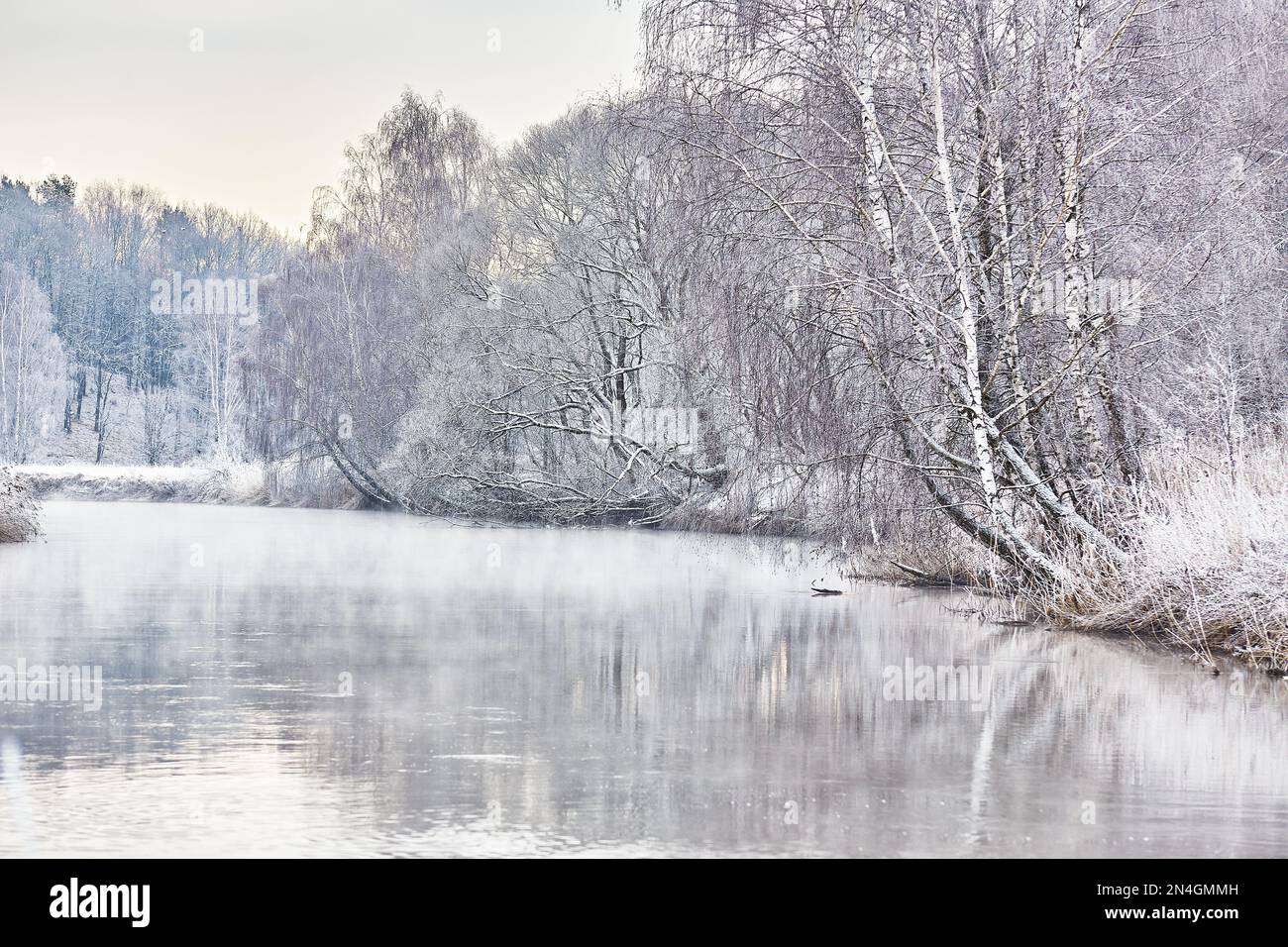 Snow on winter nature park. Cold Weather forest landscape, trees ...