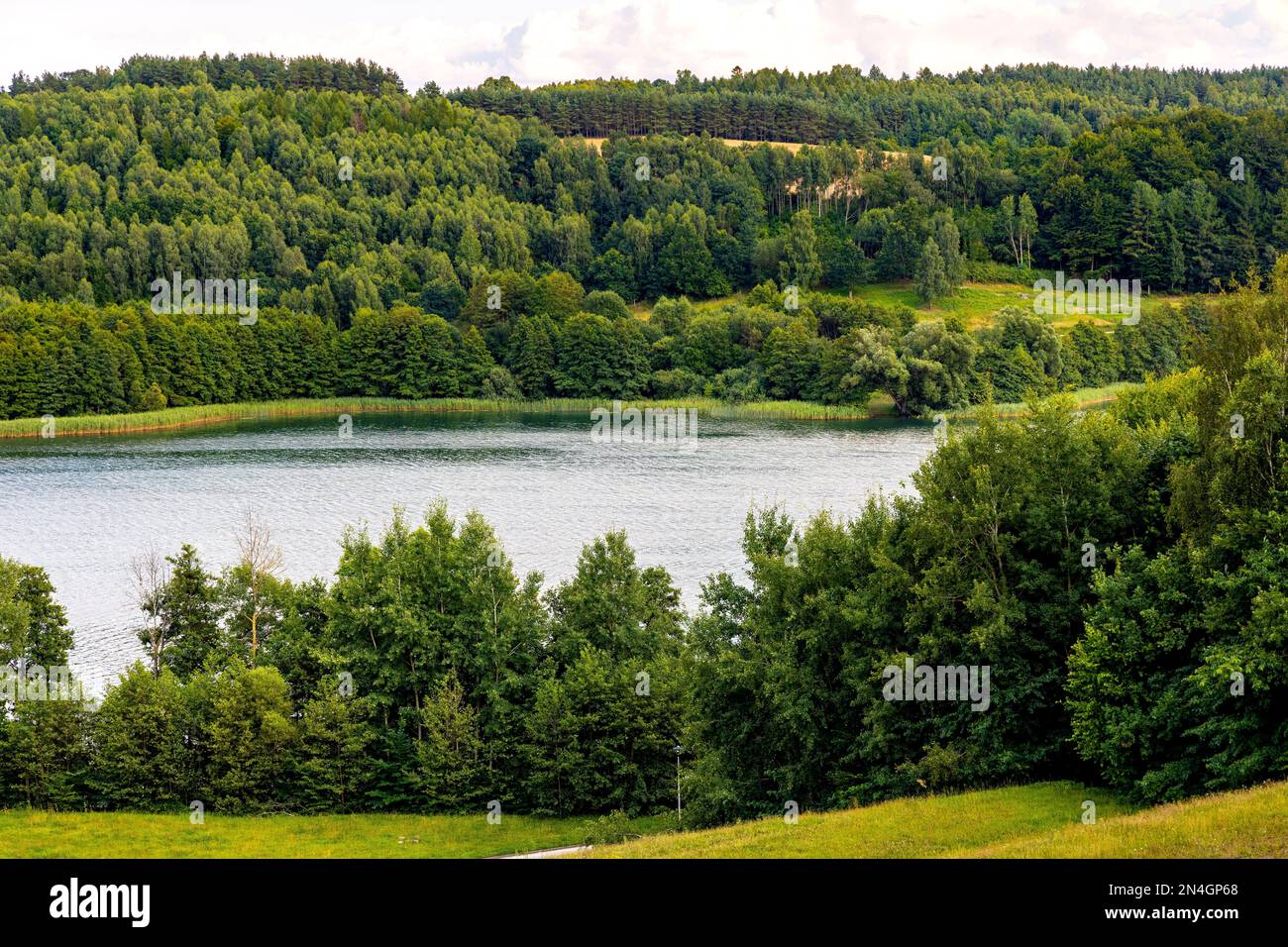 Panoramic view of Jezioro Brodno Wielkie lake with shores of forest and ...